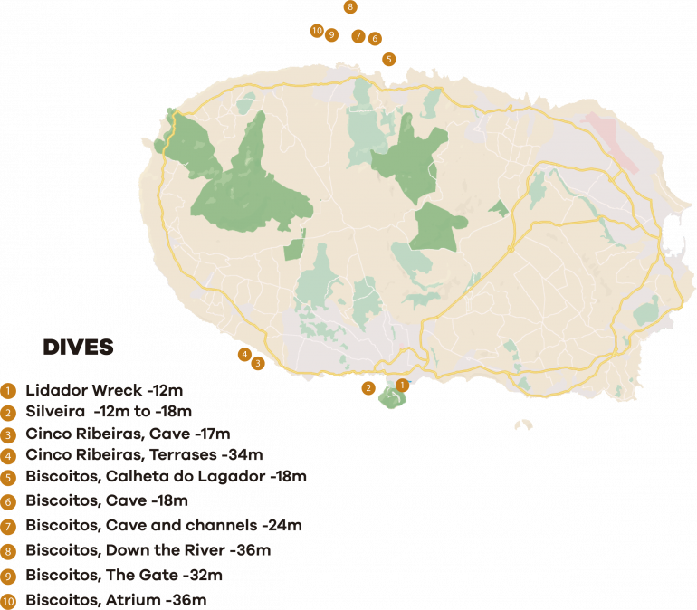 Azores Dives Sites - Qmann Diving- dive centers in the Azores